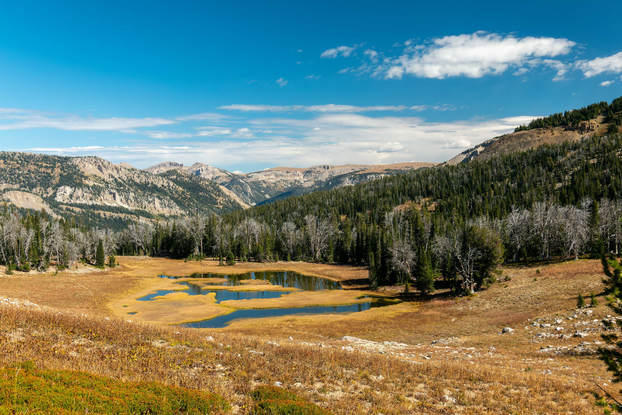 Public Lands Program | AllTrails